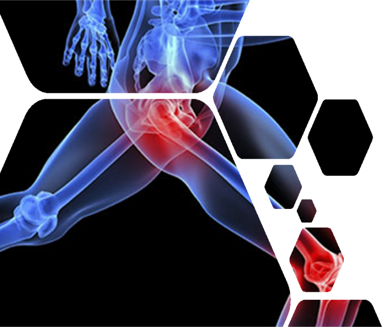 Courses - FUNCTIONAL AGING Institute